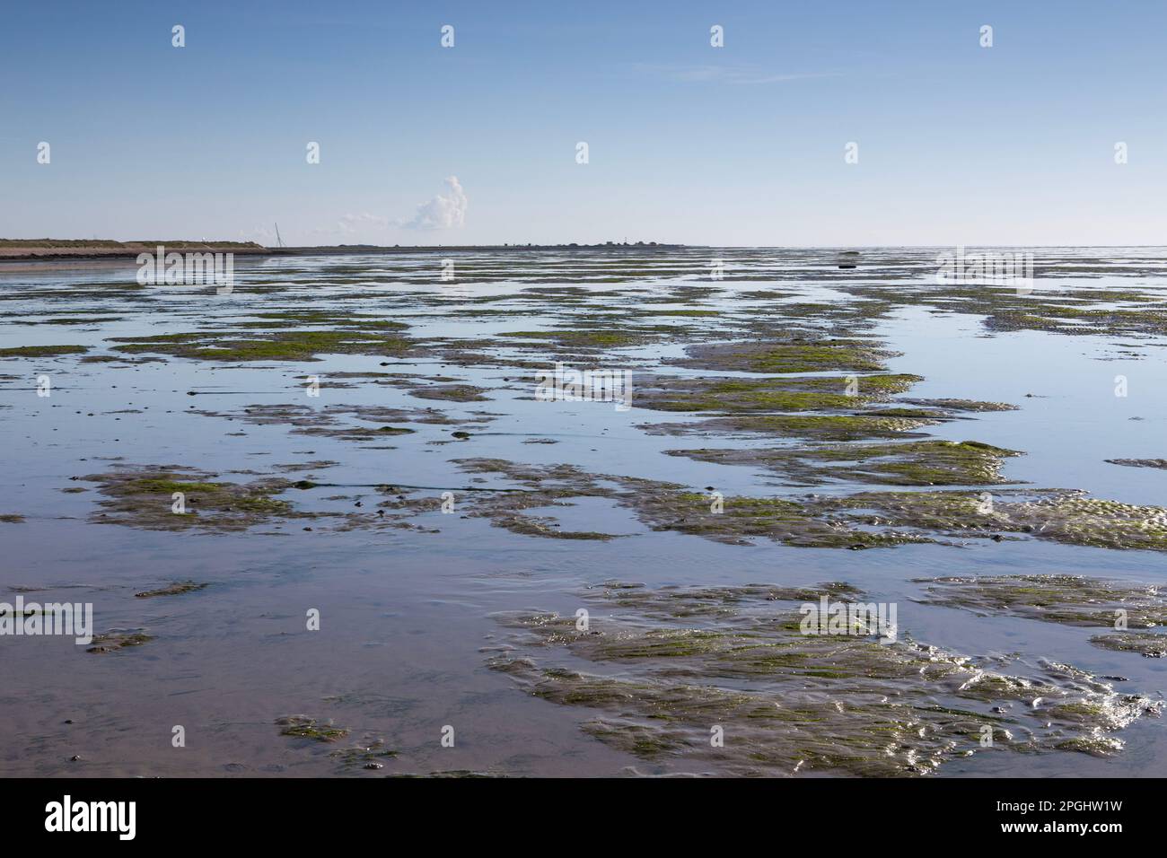 The Broomway, one of the UK's most dangerous footpaths, in the Thames ...