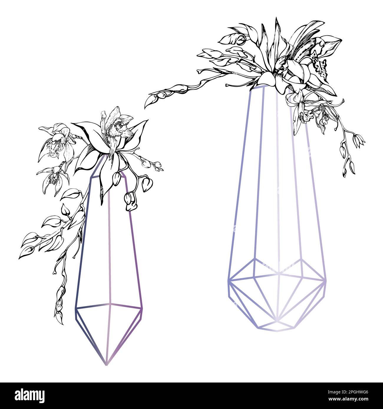 Hand drawn vector ink orchid flowers and branches, monochrome, detailed ...