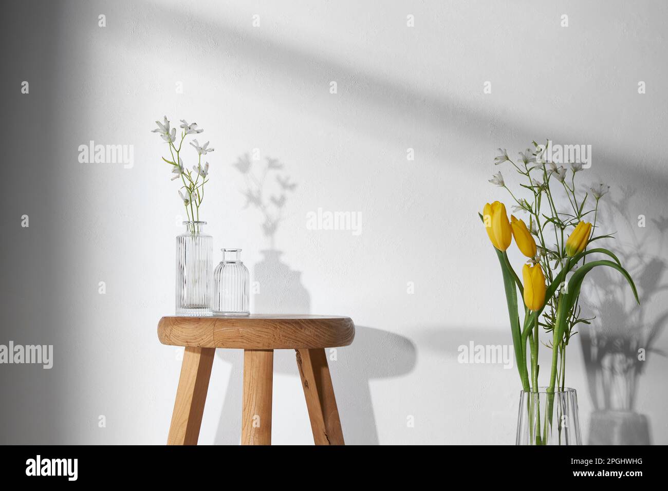 A cozy home with sunlight shining through the windows and fresh flowers ...