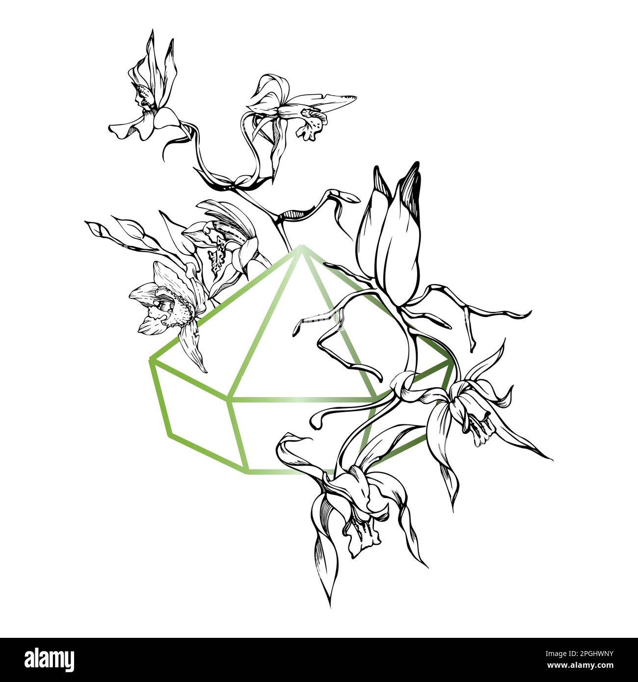 Hand drawn vector ink orchid flowers and branches, monochrome, detailed ...