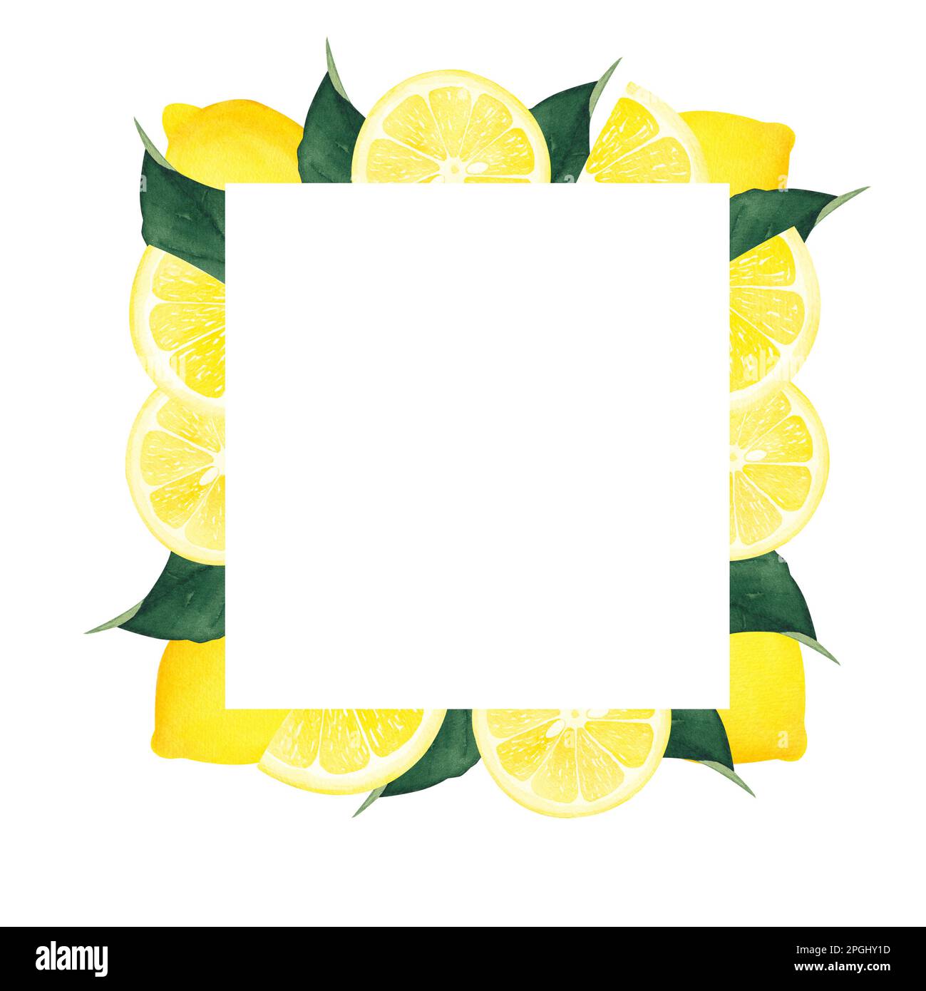 watercolor lemon square frame with leaf. isolated on white background ...