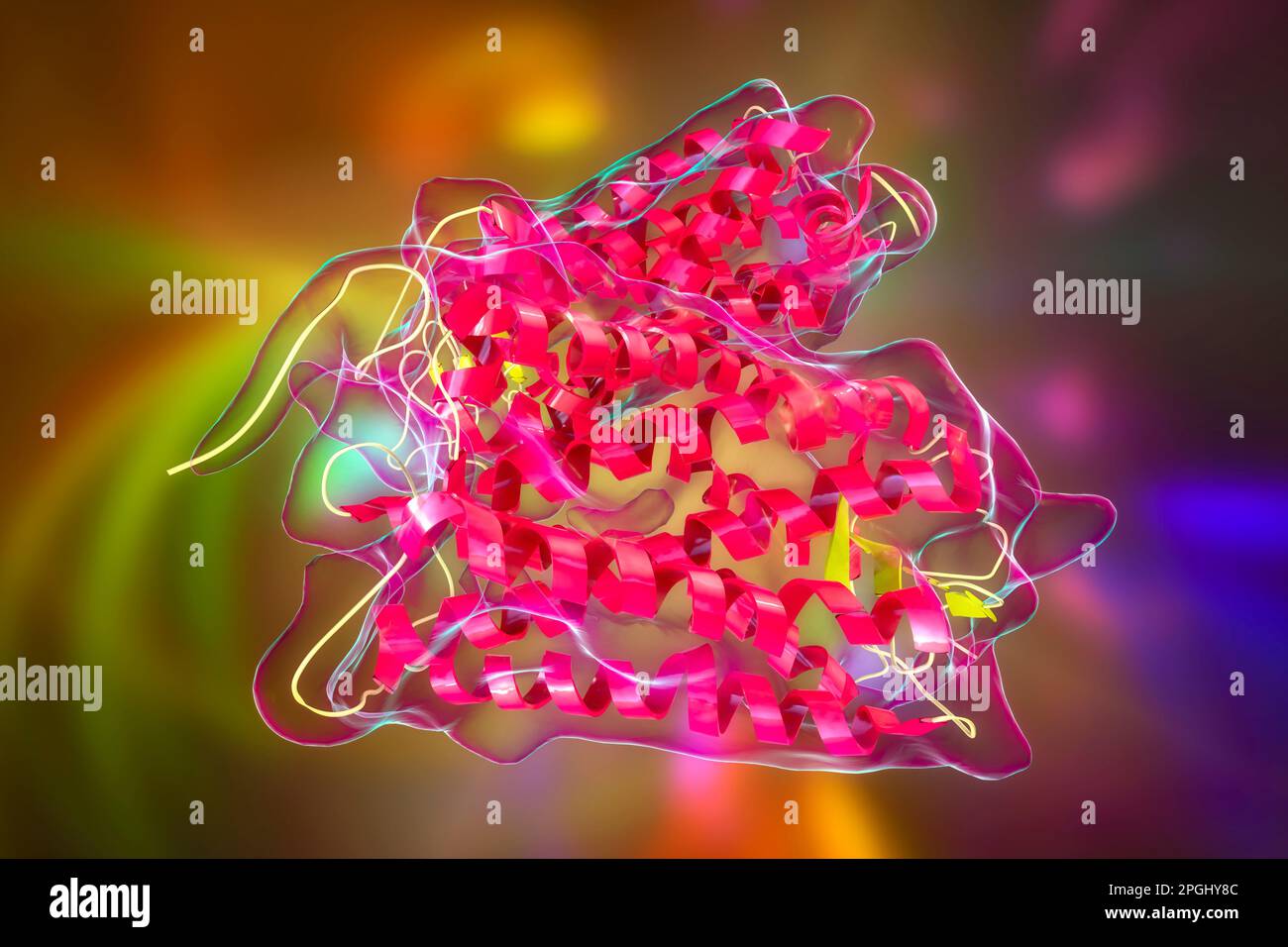Antimicrobial resistance amr hi-res stock photography and images - Alamy