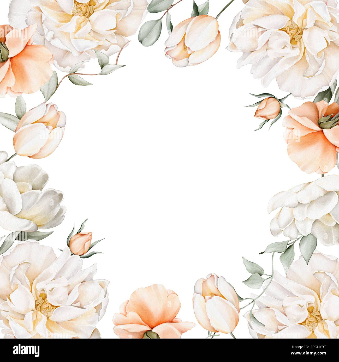 Flowers. Watercolor hand painted floral frame with tulip, roses ...