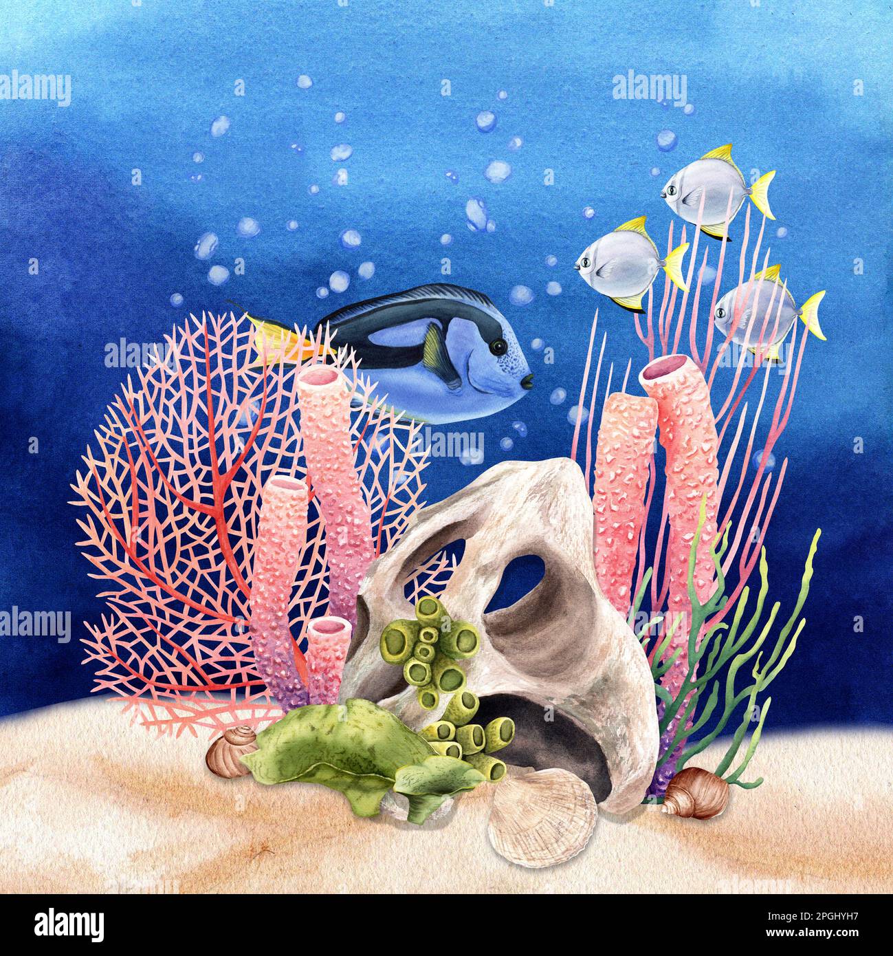 Underwater composition with corals, exotic fishes and shells ...
