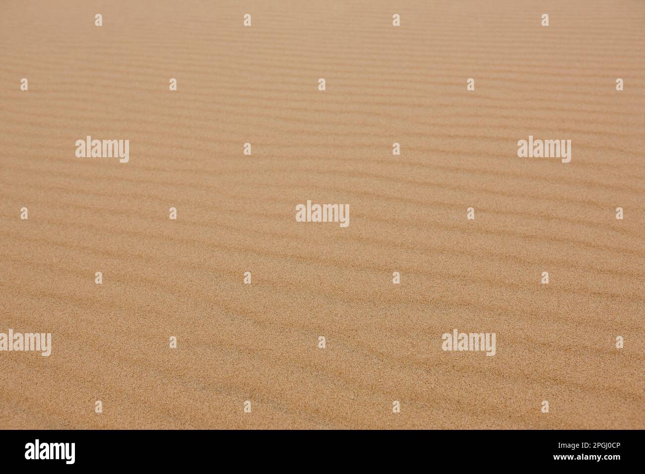 Desert dune ground structure hi-res stock photography and images - Alamy