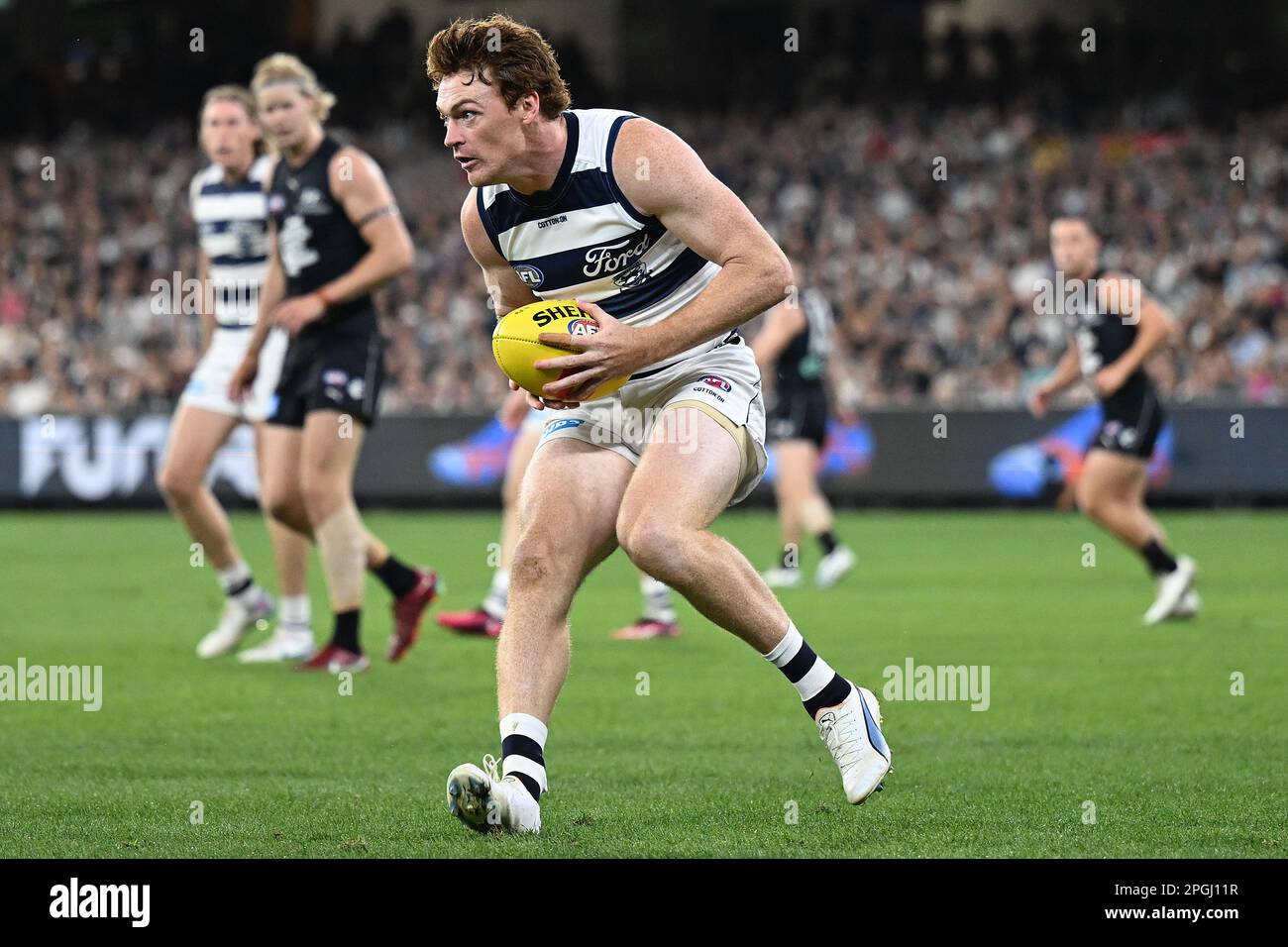 Gary Rohan of Geelong in action during the AFL Round 2 match between ...
