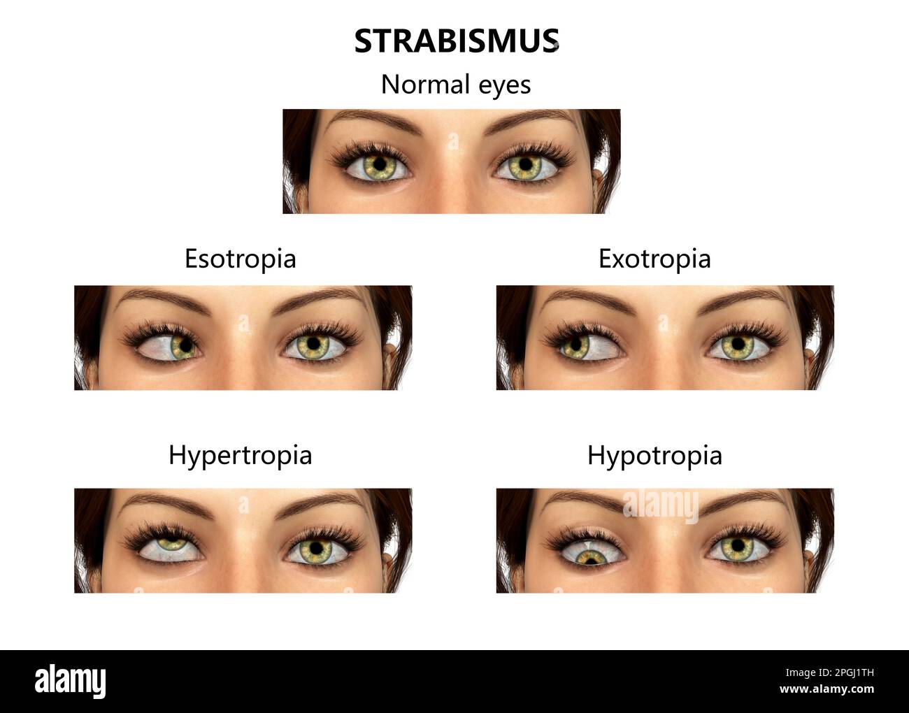 Human anatomy computer artwork Cut Out Stock Images & Pictures - Alamy