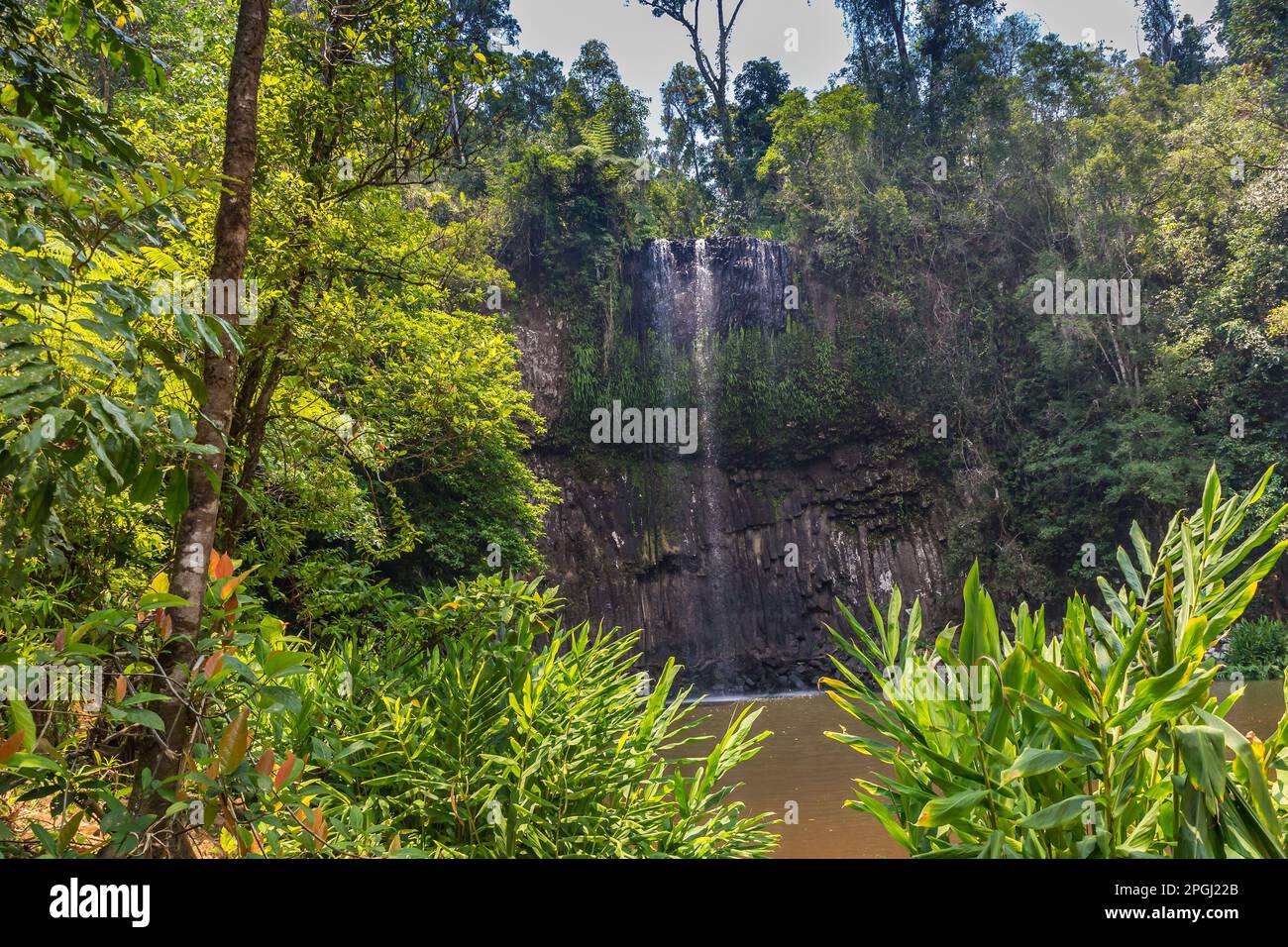 Milla Milla Falls, Atherton Tablelands, Queensland, Australia Stock ...