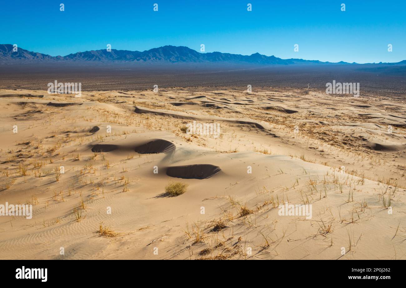 Mojave National Preserve in California on a Clear Summer Day Stock ...