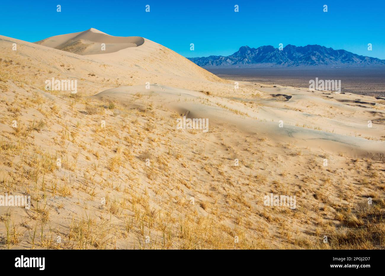 Mojave National Preserve in California on a Clear Summer Day Stock ...