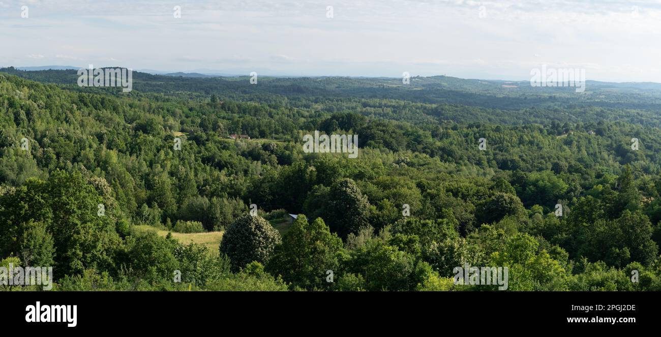 Rural panorama with lush forest and scattered houses, hilly countryside ...