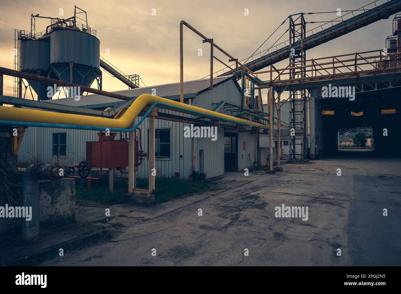 interiors and machinery, plants retaking possession of a disused ...