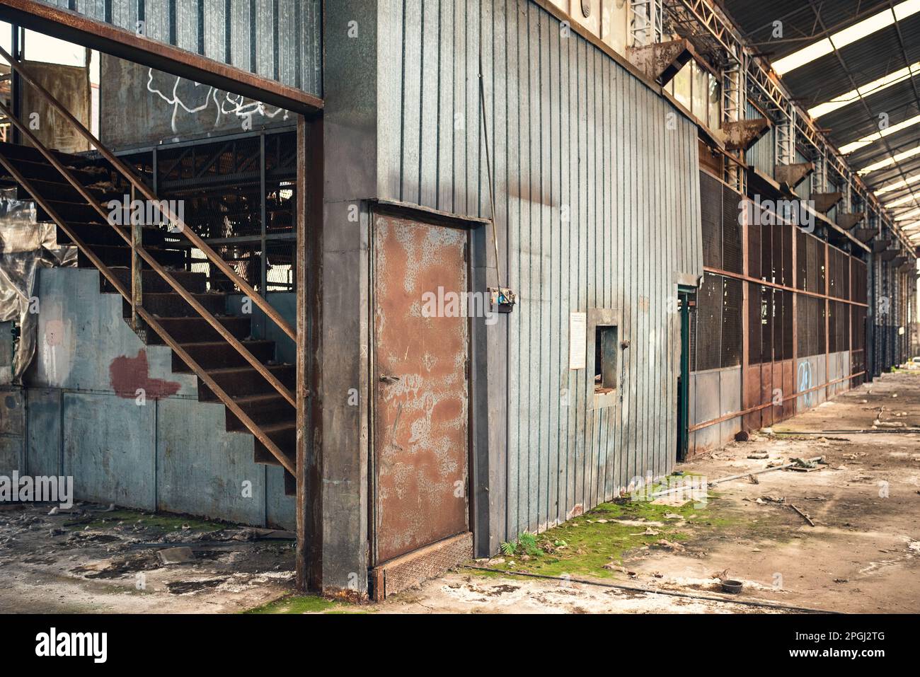 interiors and machinery, plants retaking possession of a disused ...
