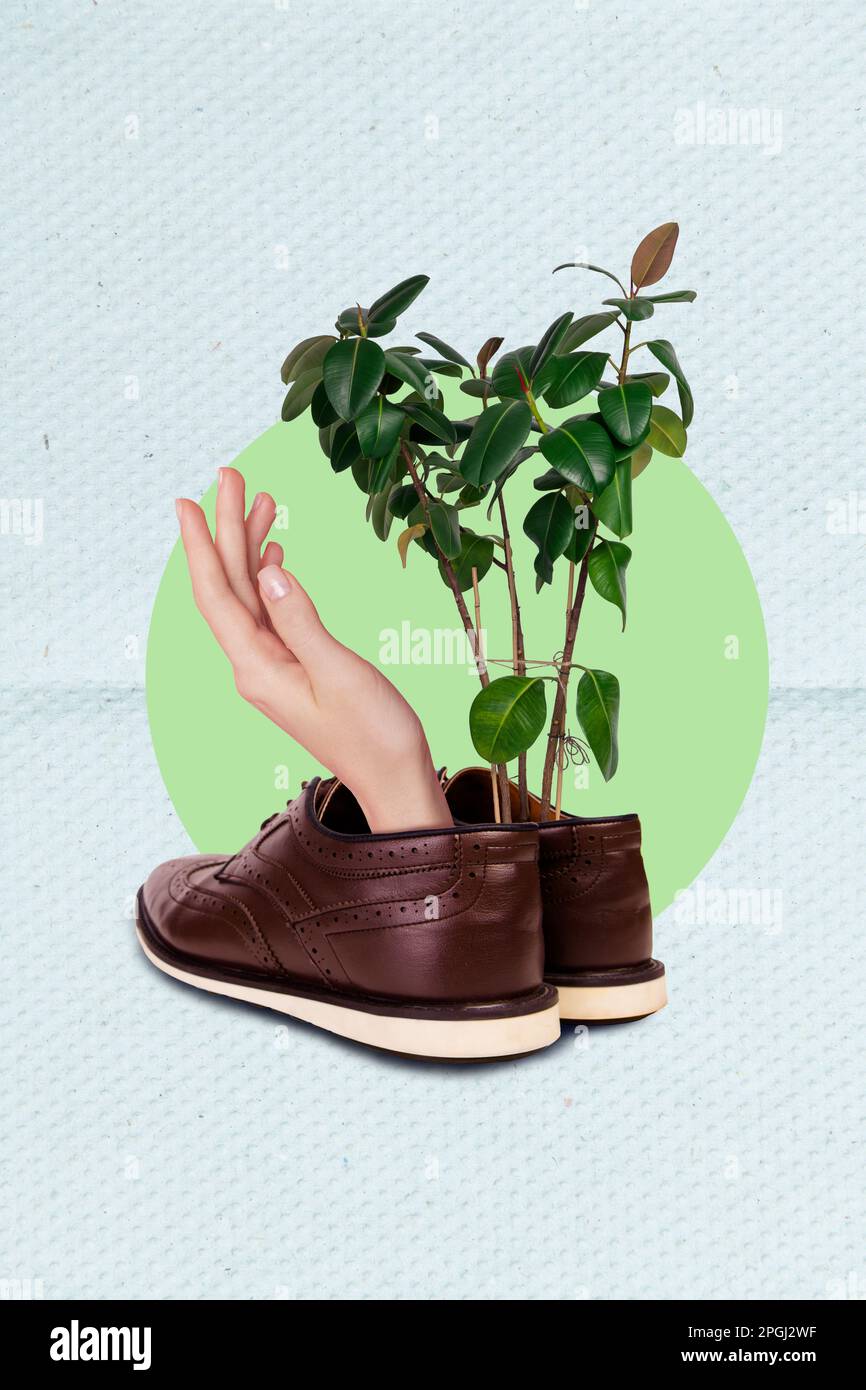 Artwork magazine collage picture of office plant arm growing man shoes ...
