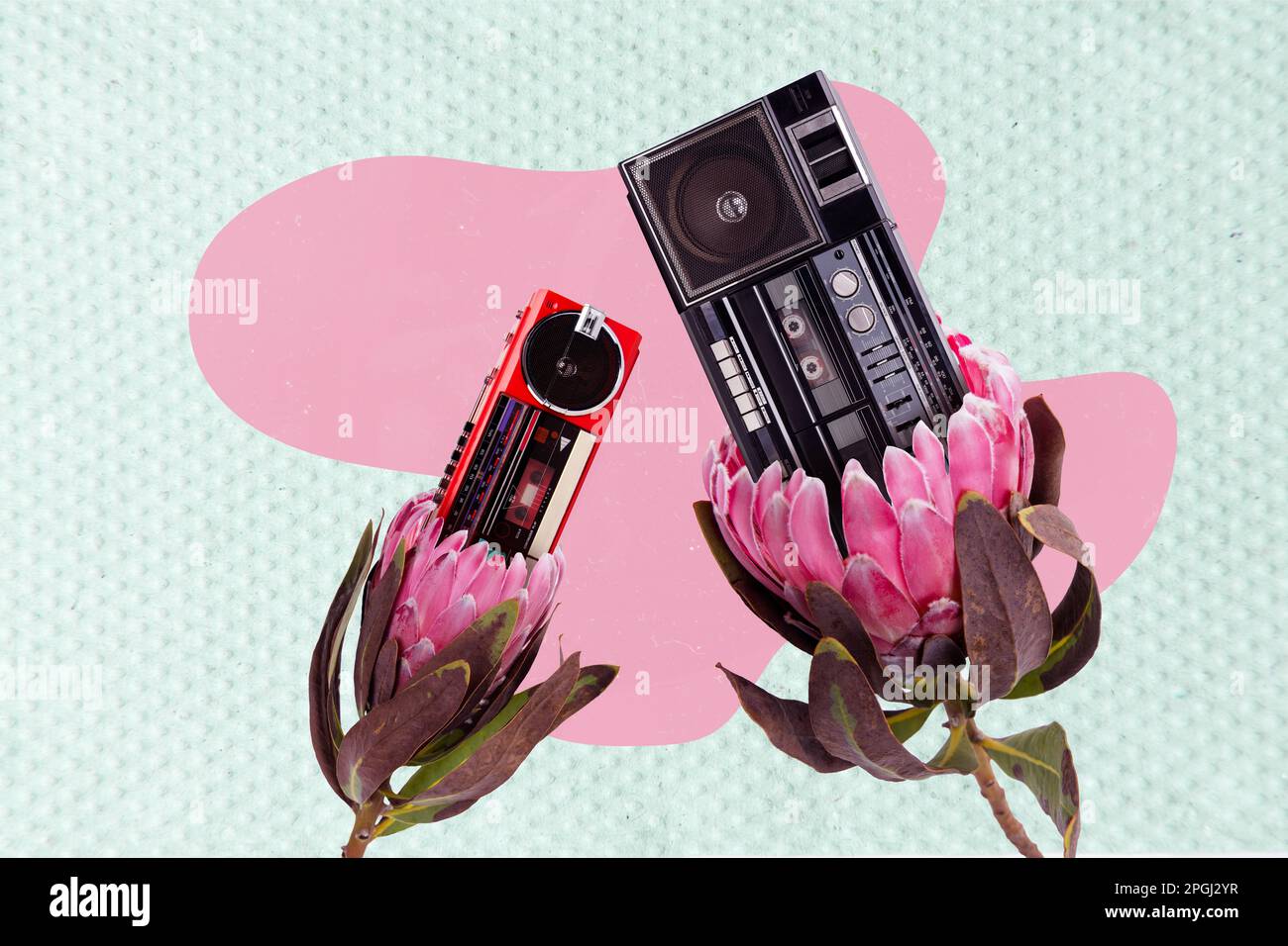 Photo cartoon comics sketch collage picture of boom boxes growing ...