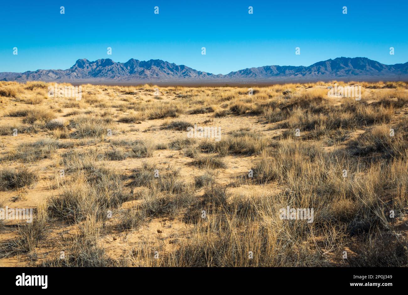 Mojave National Preserve in California on a Clear Summer Day Stock ...
