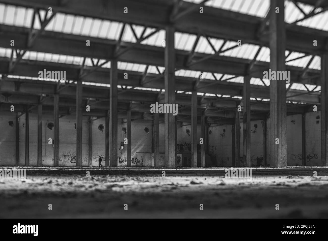 interiors and machinery, plants retaking possession of a disused ...