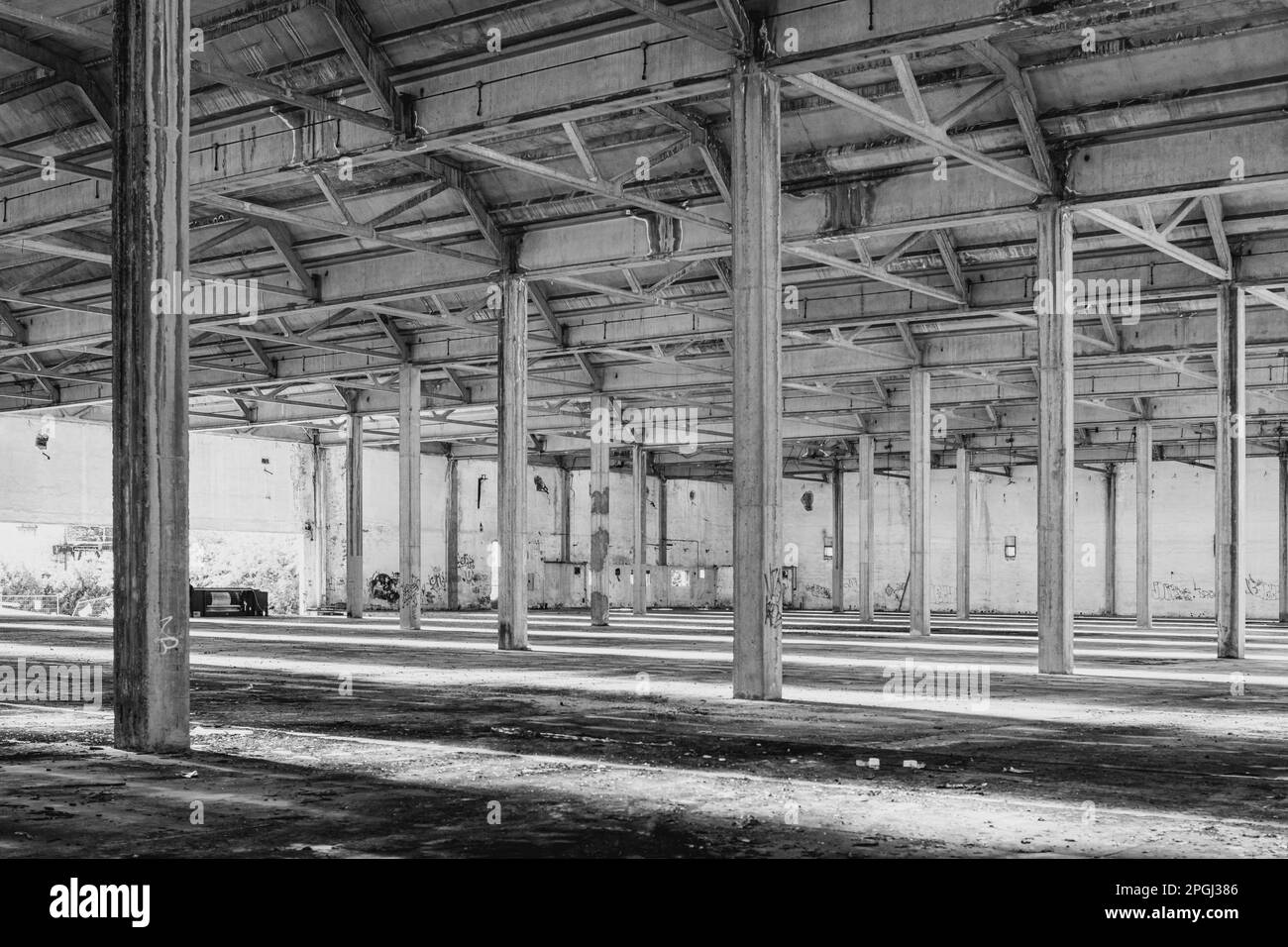 interiors and machinery, plants retaking possession of a disused ...