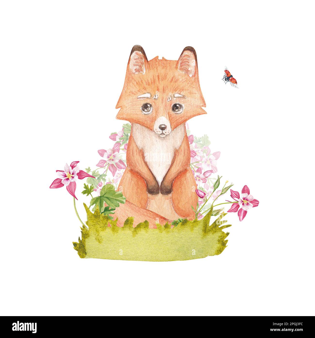 Cute fox cub in the grass with watercolor flowers. Baby foxes in the ...