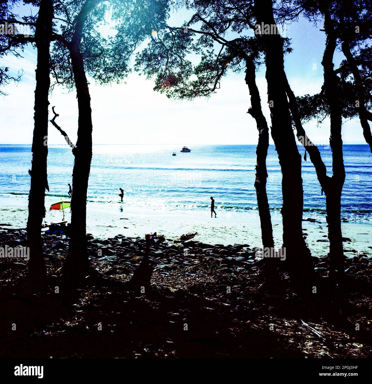 Noosa, Queensland , Australia Stock Photo - Alamy