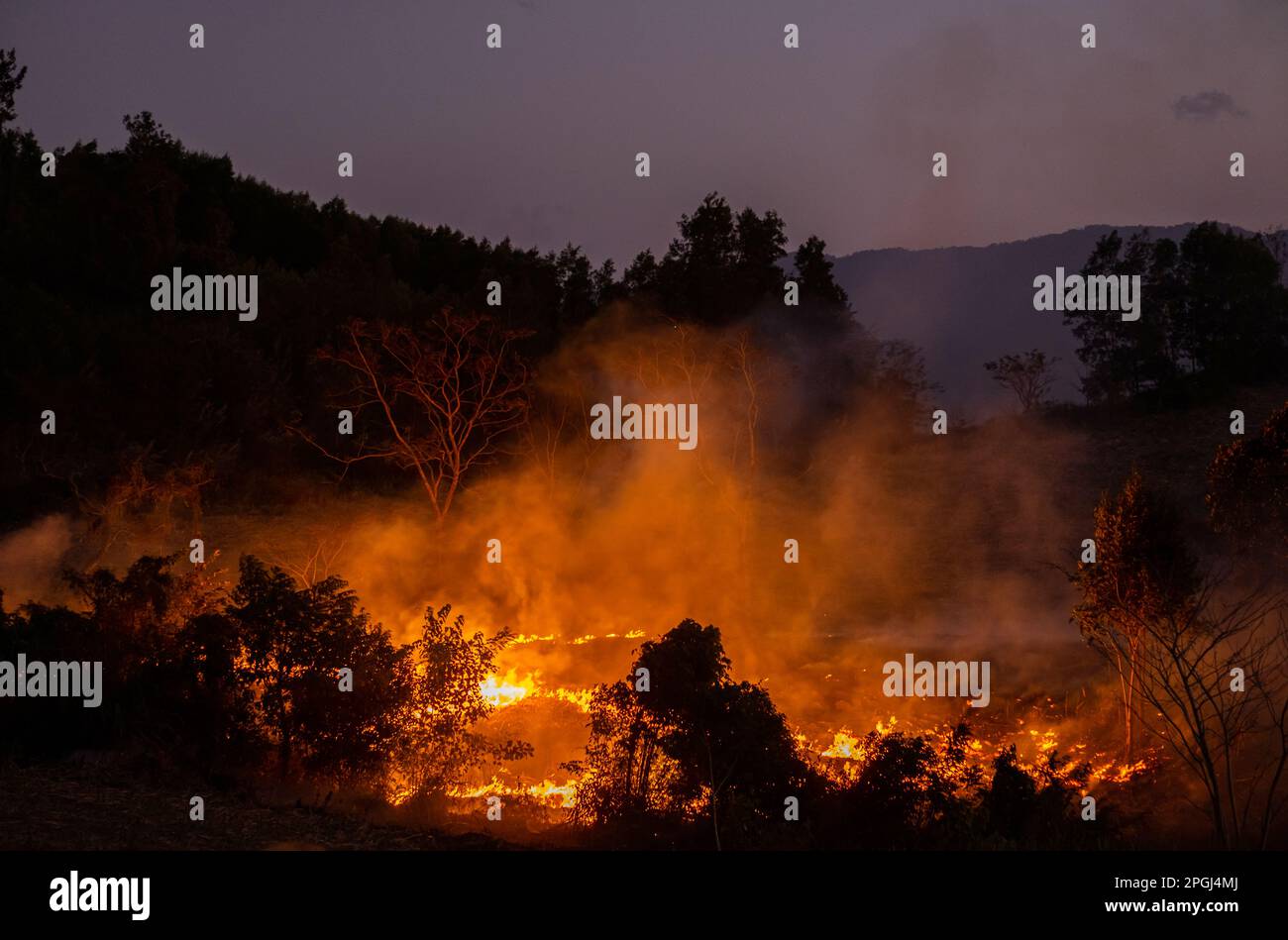 Bushfire spread hi-res stock photography and images - Alamy