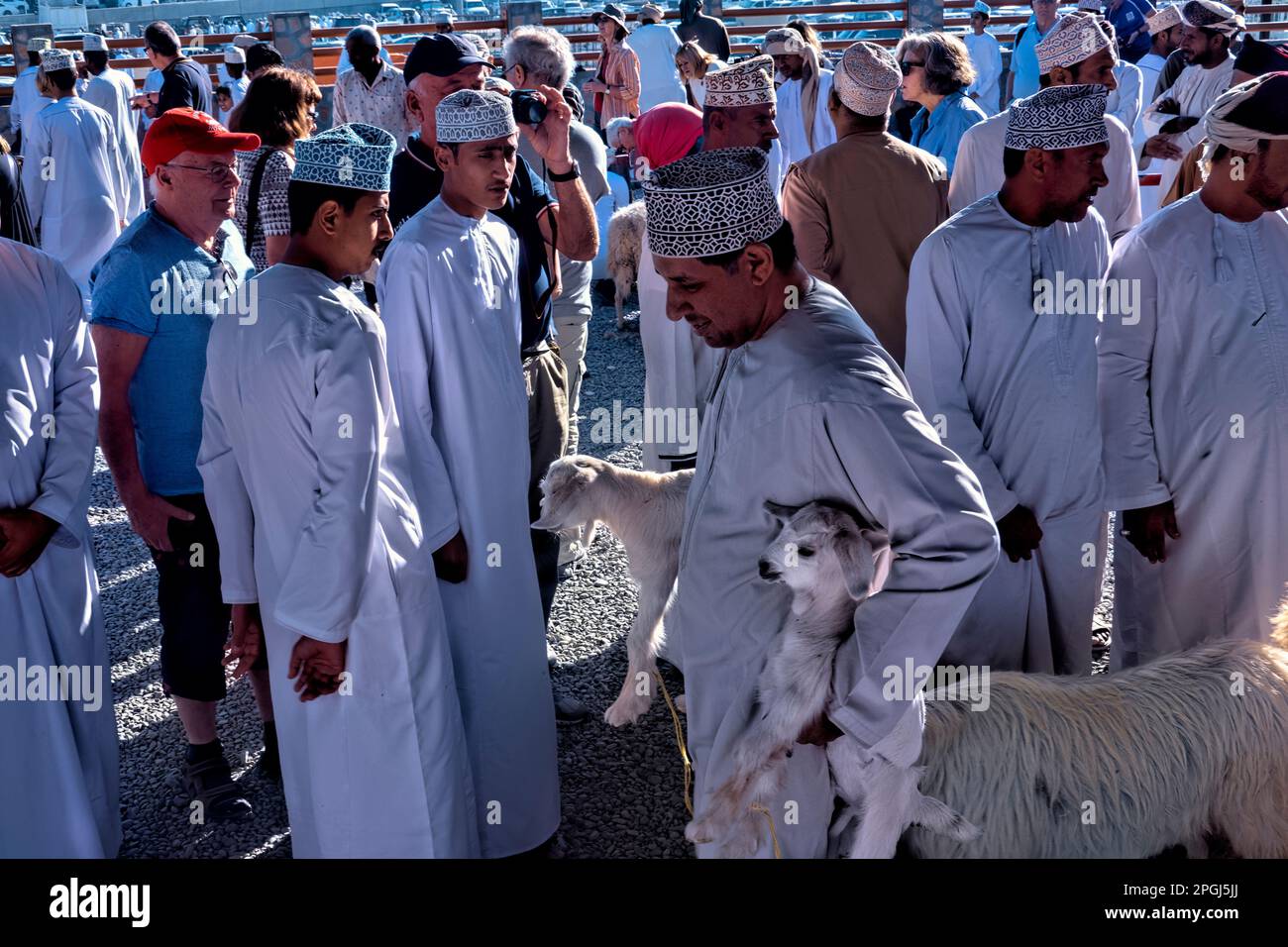 Scenes from the Friday goat market, Nizwa, Oman Stock Photo - Alamy