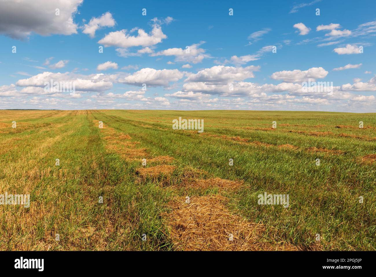 Rural horizon hi-res stock photography and images - Alamy