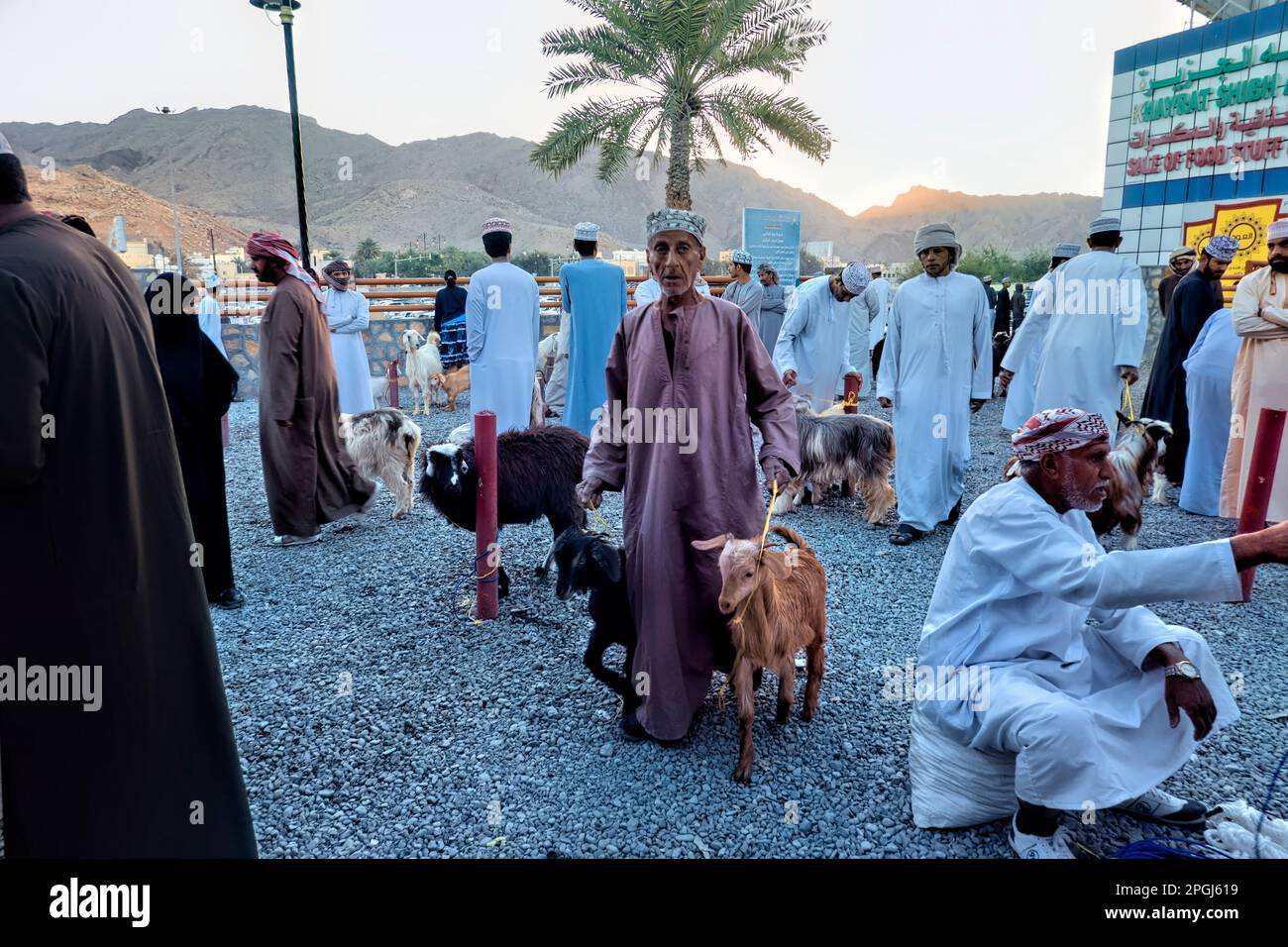 Scenes from the Friday goat market, Nizwa, Oman Stock Photo - Alamy