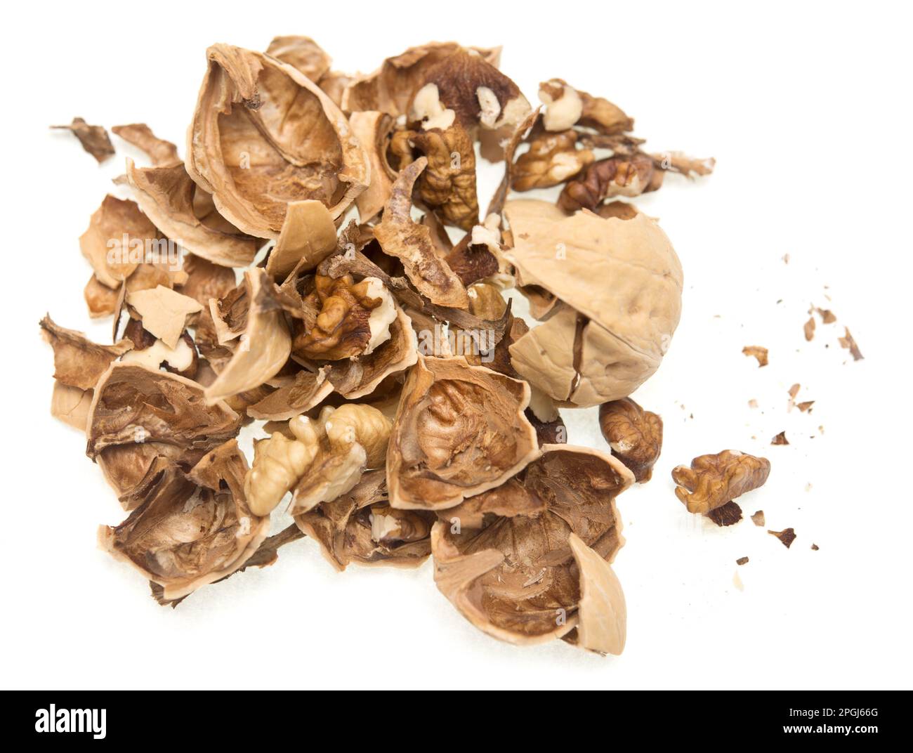 Walnut shell on white background Stock Photo - Alamy