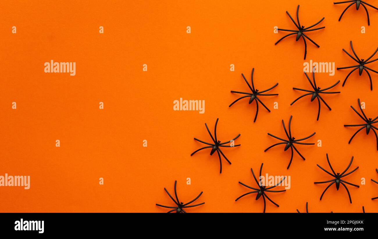 An orange background decoration for Halloween with a group of spiders ...