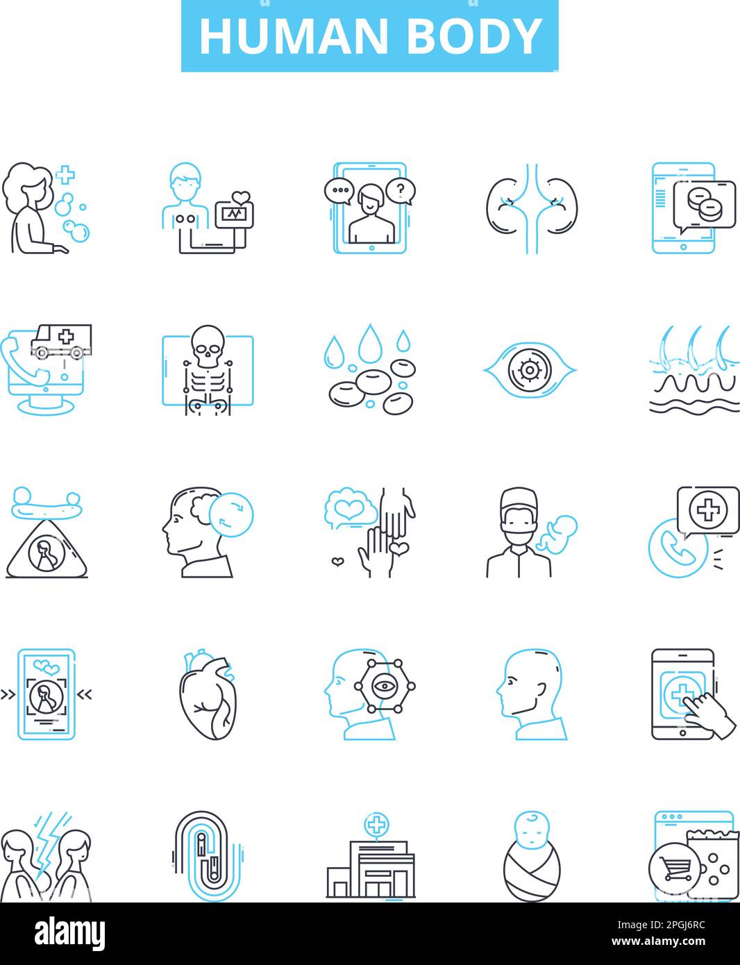 Human Body Vector Line Icons Set Anatomy Physiology Skeleton Organ