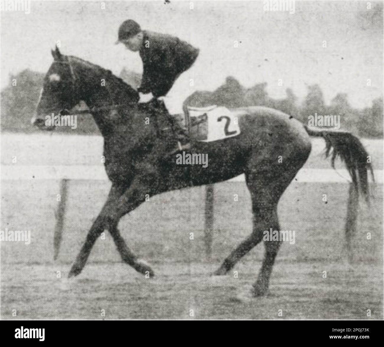 Man o war racehorse hi-res stock photography and images - Alamy