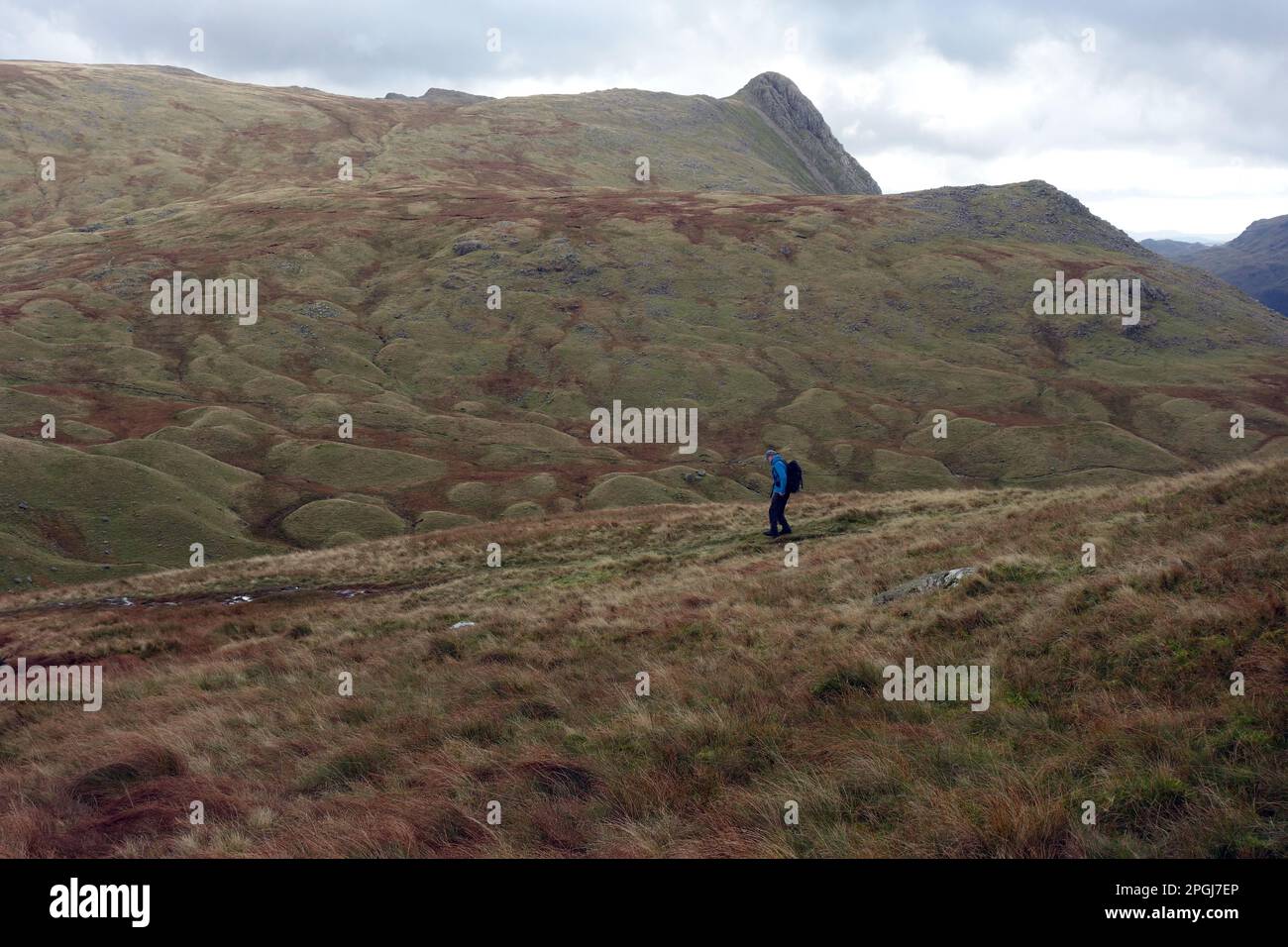 The stake pass hi-res stock photography and images - Alamy