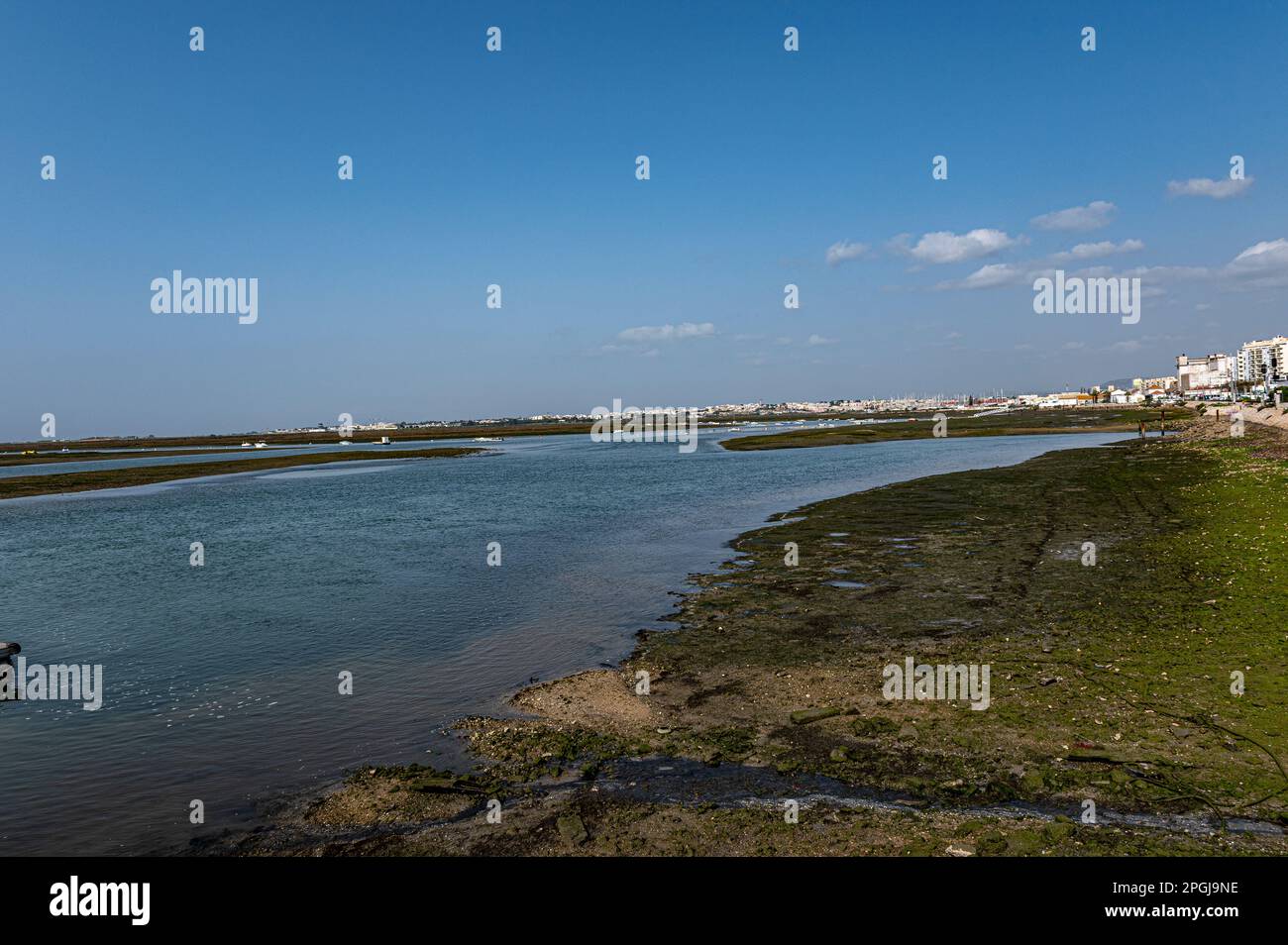 Ria formosa marshes hi-res stock photography and images - Alamy