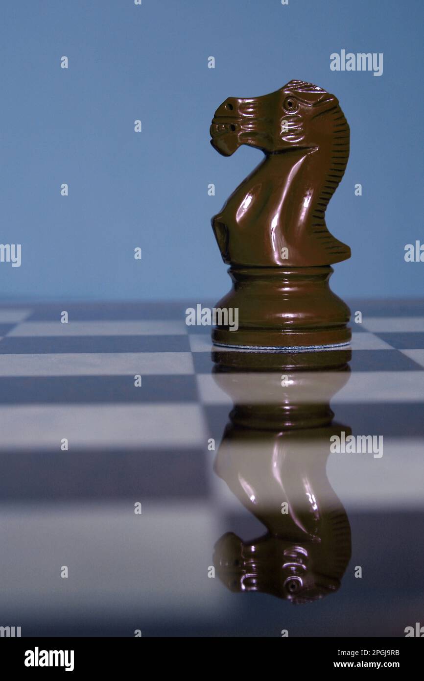 Knights brown hi-res stock photography and images - Alamy