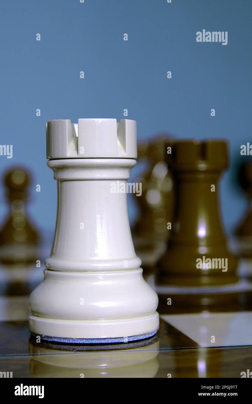 White rooks hi-res stock photography and images - Alamy