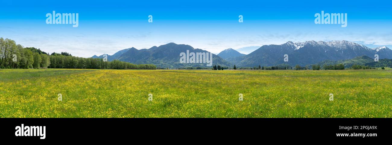 view from the Murnauer Moos to the Ester Mountains and the Wetterstein ...