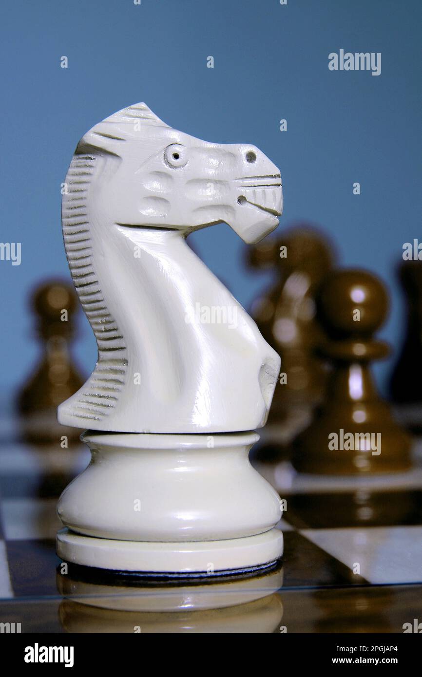 White knight hi-res stock photography and images - Alamy