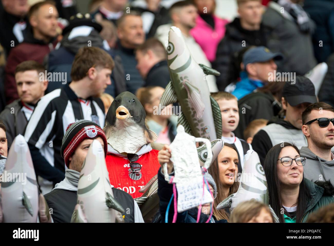 Harry haddock mascots hi-res stock photography and images - Alamy