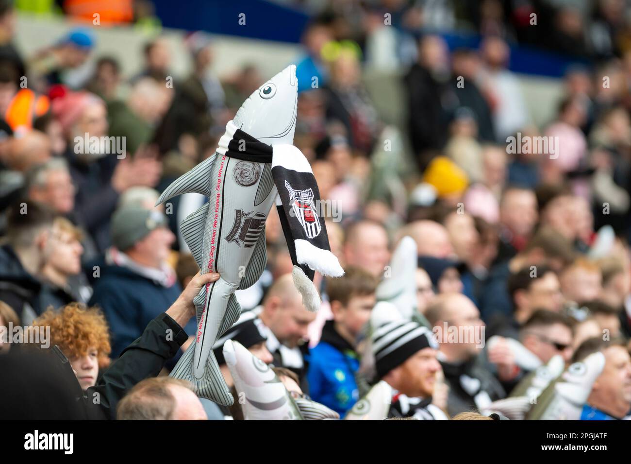 Grimsby fans with their Harry the Haddock mascots before the Brighton ...