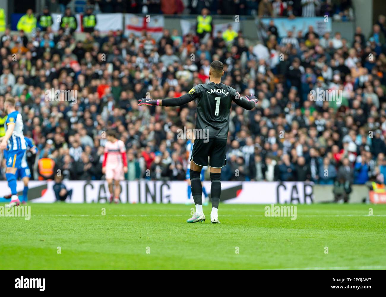 Robert sanchez brighton march hi-res stock photography and images - Alamy