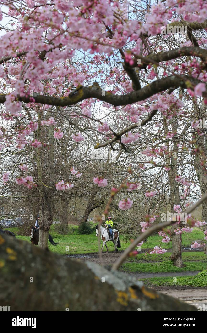 2023 spring hi-res stock photography and images - Alamy
