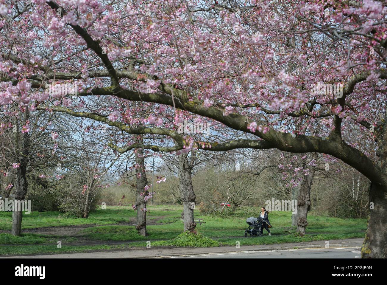 2023 spring hi-res stock photography and images - Alamy