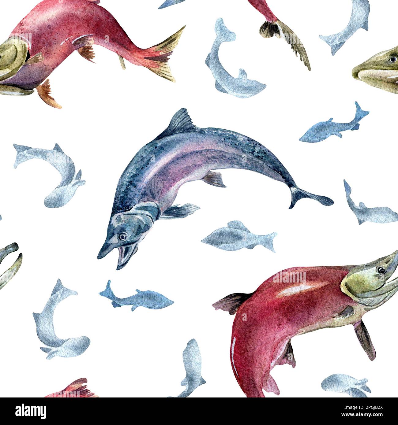 Seamless pattern of salmon, coho, chum watercolor illustration isolated ...