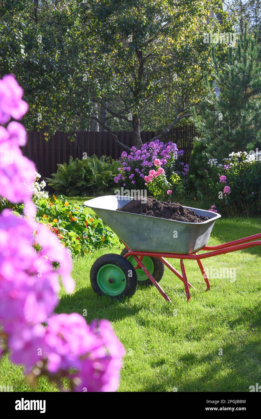 Wheelbarrow full of humus and compost on green lawn with well-groomed ...