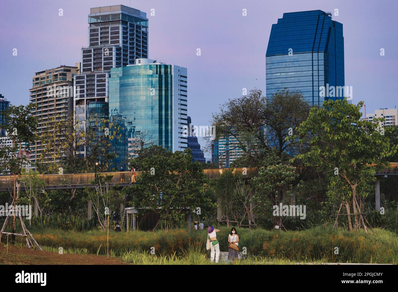 Modern building contrast with the wild natural Benchakitti park in ...