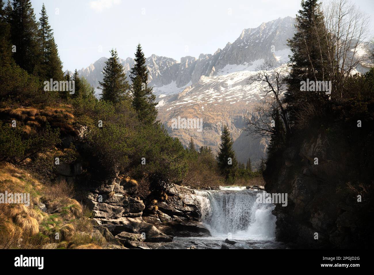 Landscapes from beautiful Val di Fumo, Trentino, Italy Stock Photo - Alamy