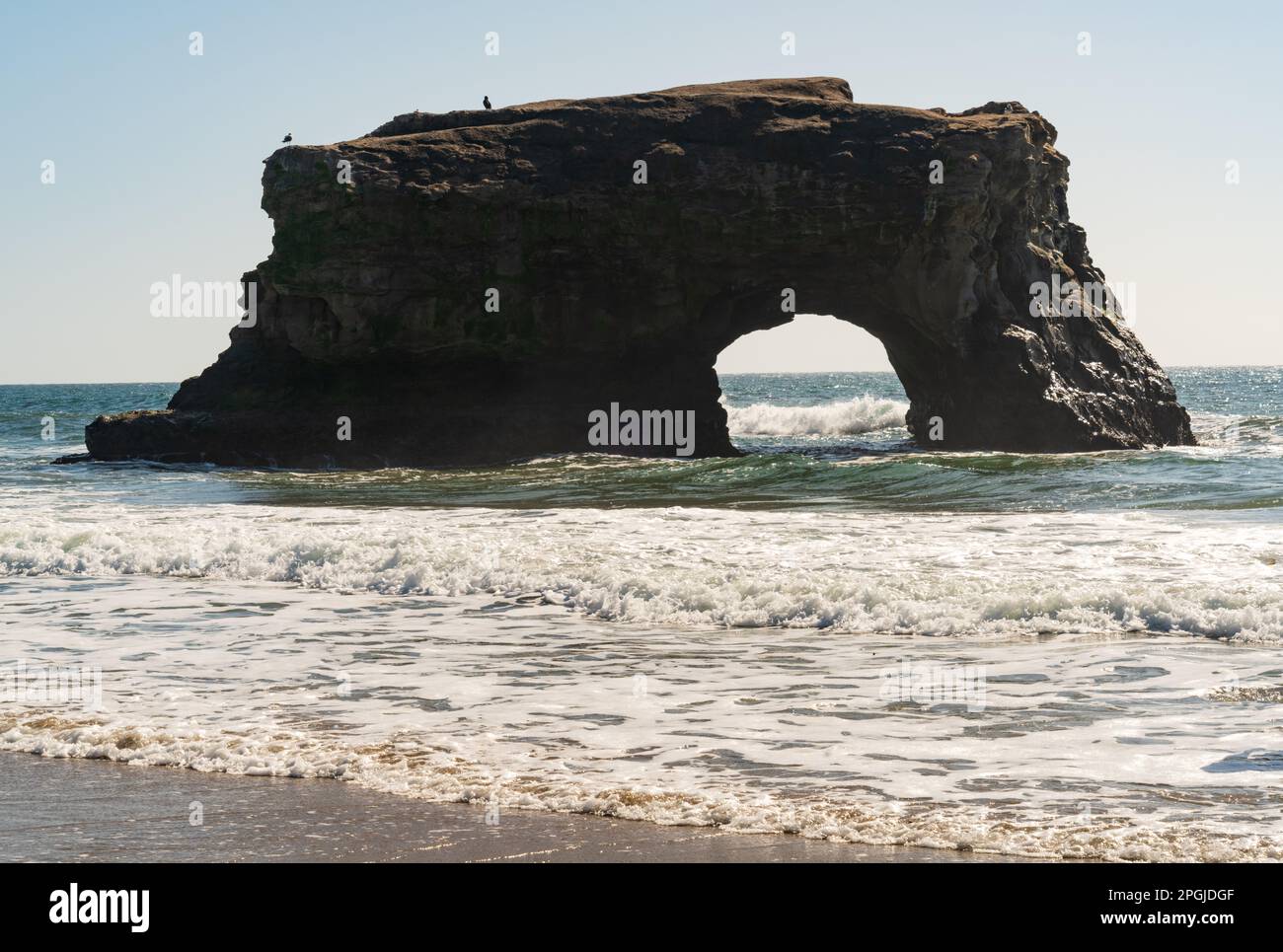 Biodiversity arch hi-res stock photography and images - Alamy