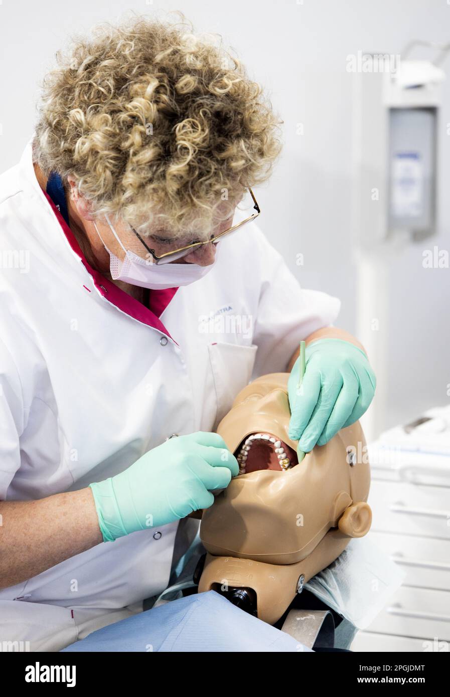 AMSTERDAM - VMBO students and MBO students compete for the national ...