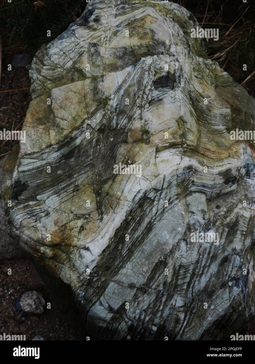 A large rock formation situated in a natural, forested landscape Stock ...